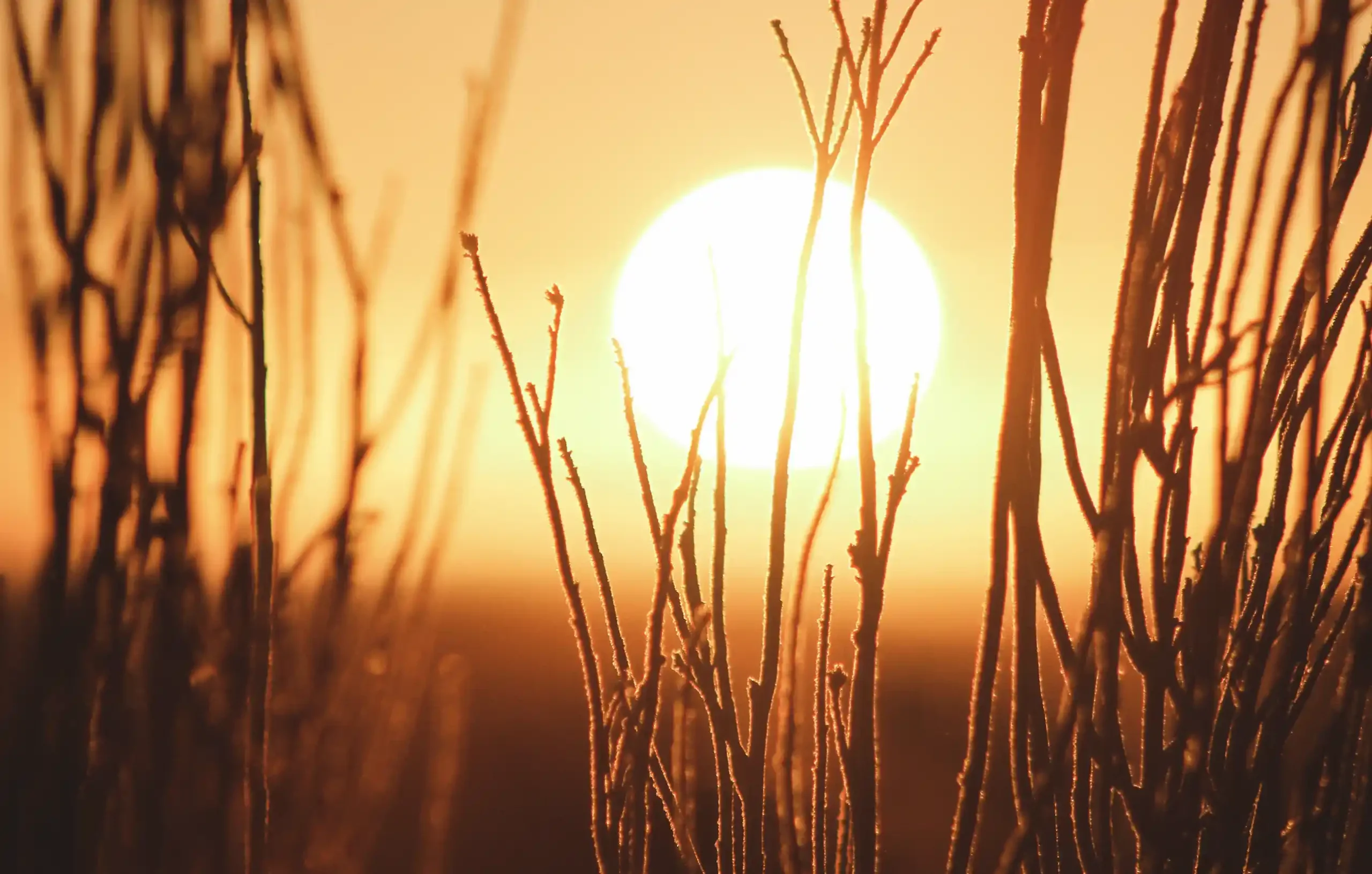 How Many Lumens Is The Sun? The Answer Is Here in 2026!